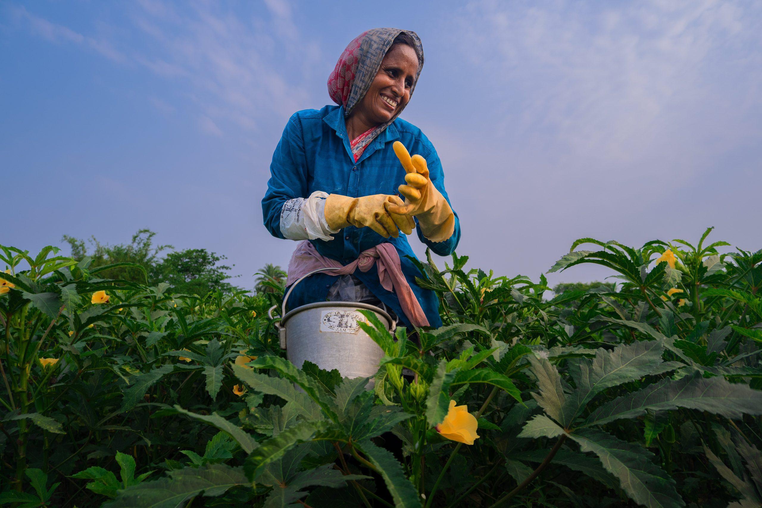 WHO Executive Board meeting sets tone for global health and NCDs in 2024 - Access Accelerated